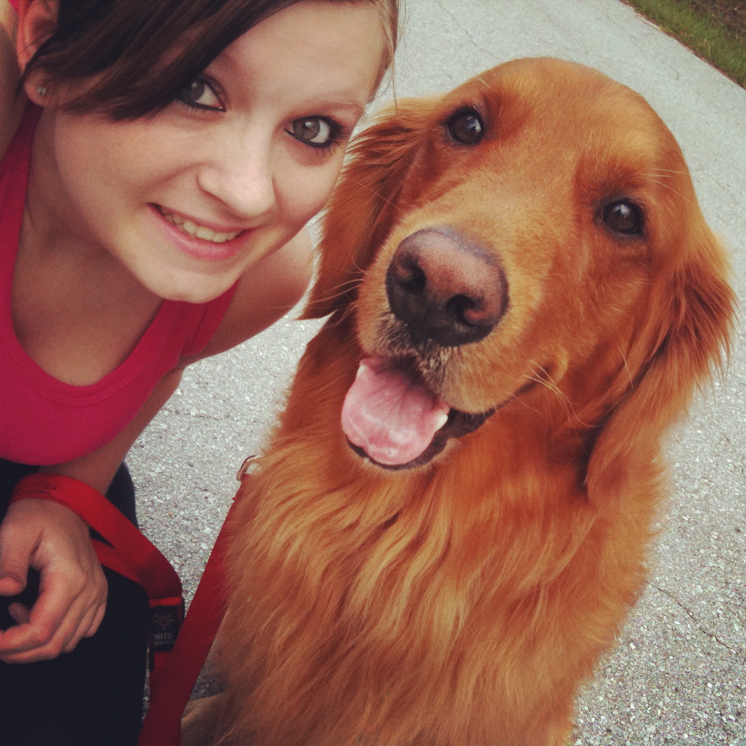 My Biggest Regret After My Doggo Died-Don't Let it Be Yours ...