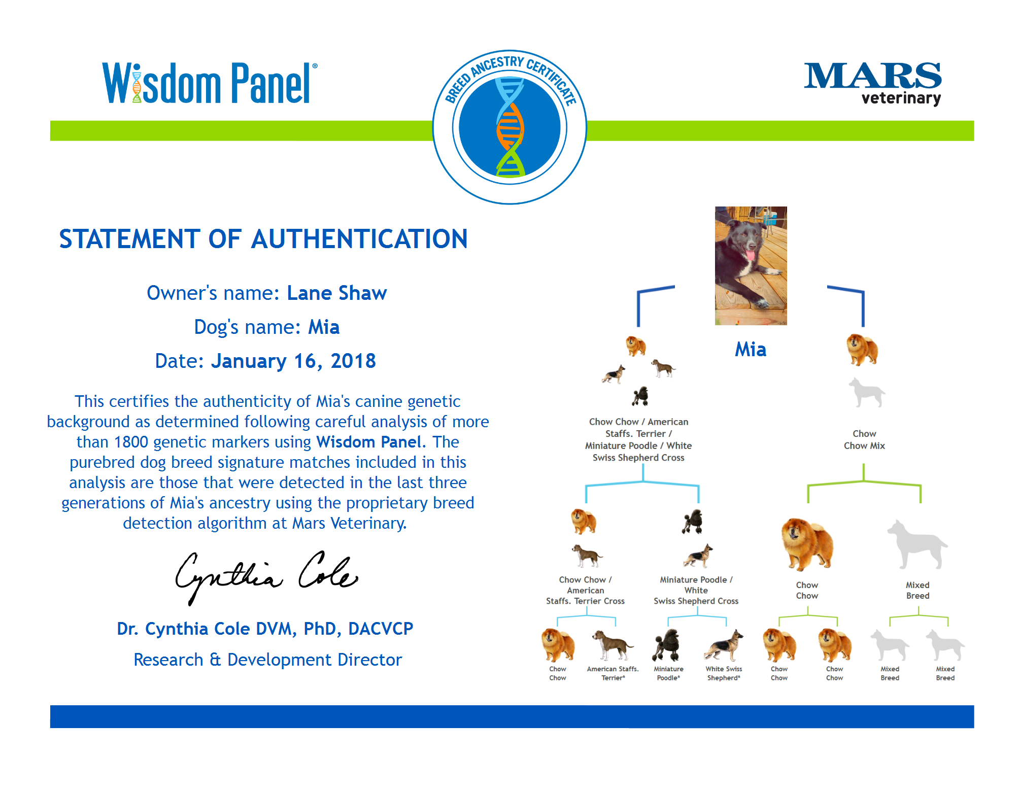 Do You Know What Breed Your Dog Is? | Doggy DNA | Wisdom Panel ...