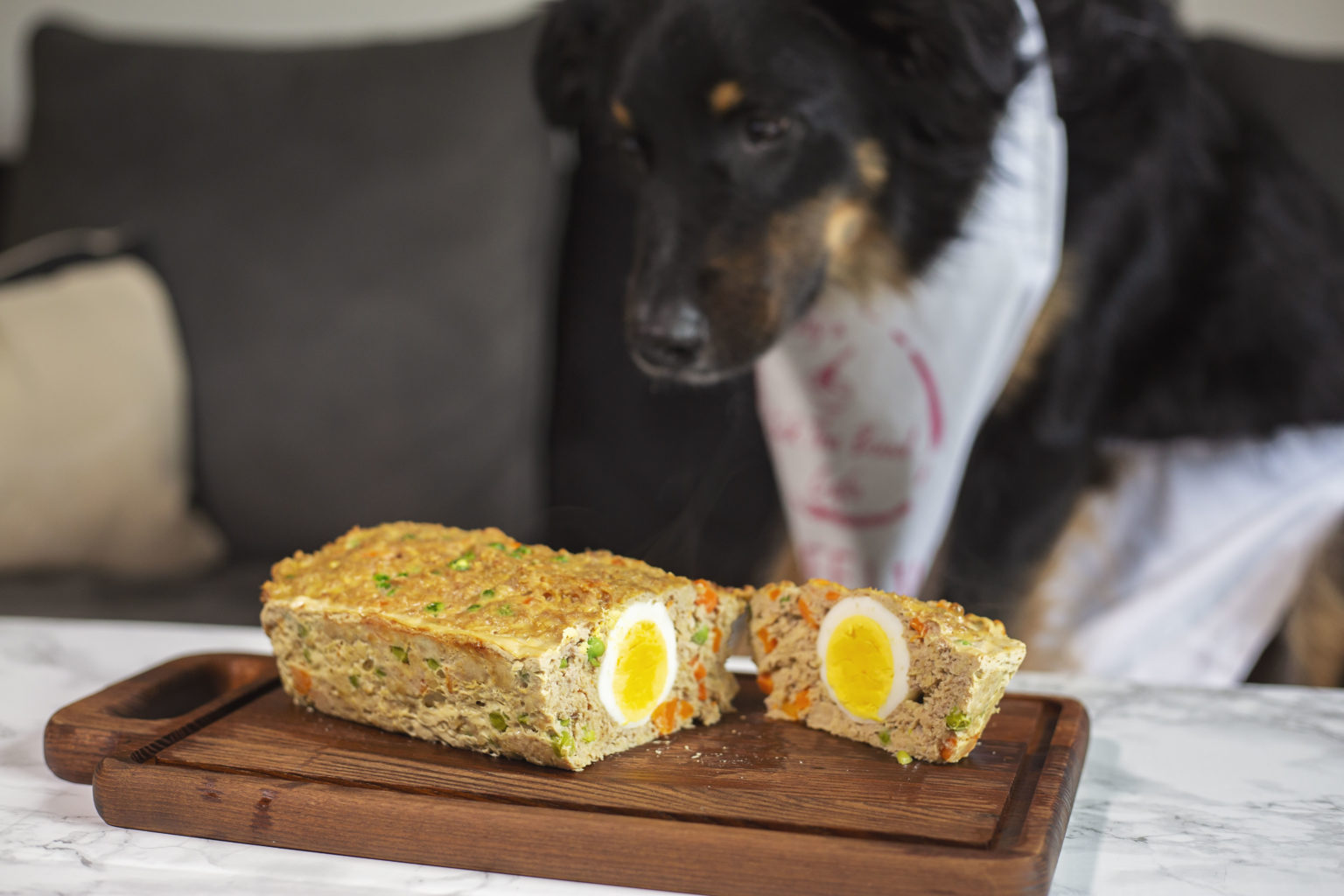 Woof Loaf | Dog Treat Recipe - jessicashawphotography.com