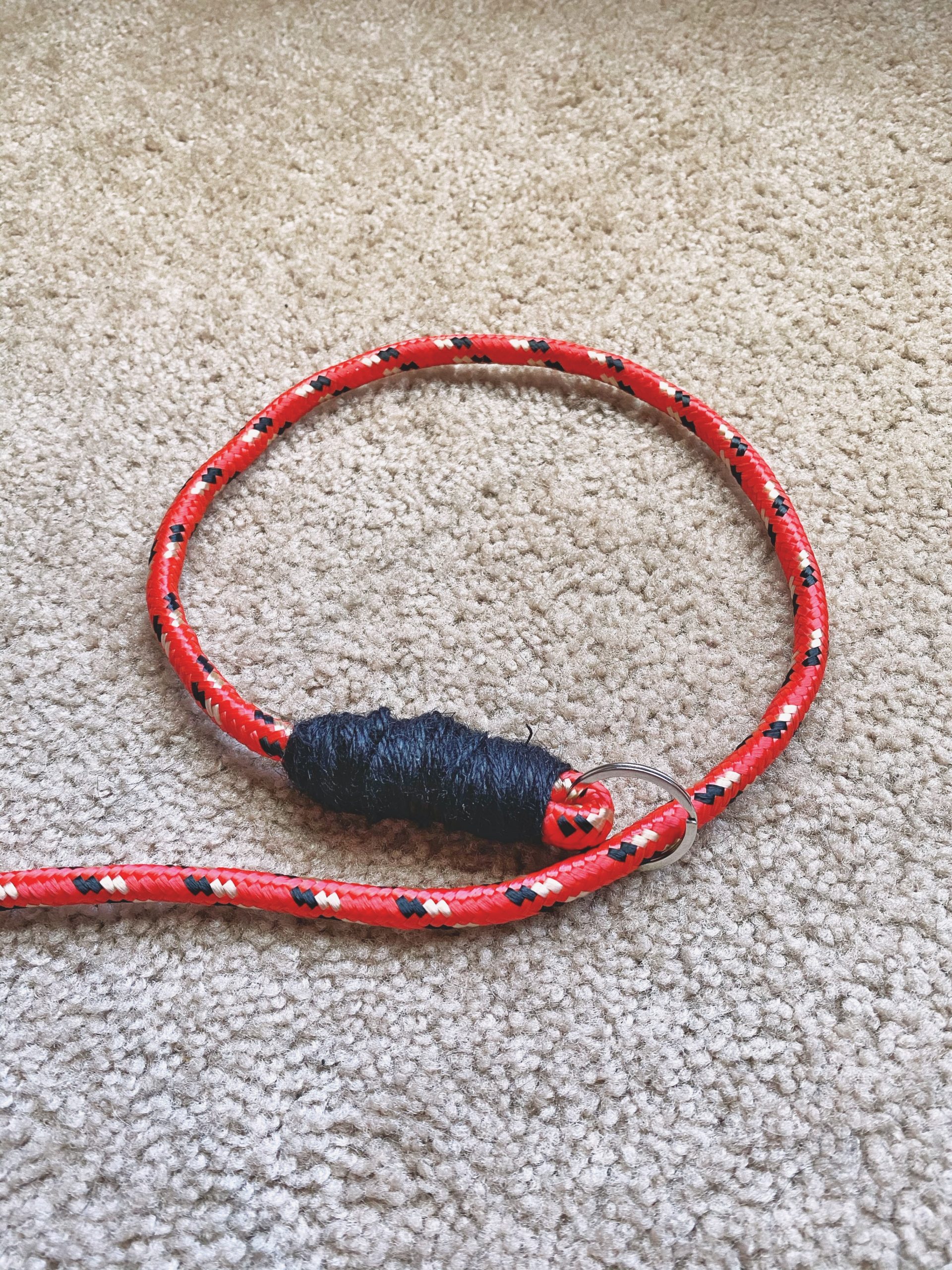 Crafty Time on Doggo Bloggo | DIY Slip Leash | jessicashawphotography.com
