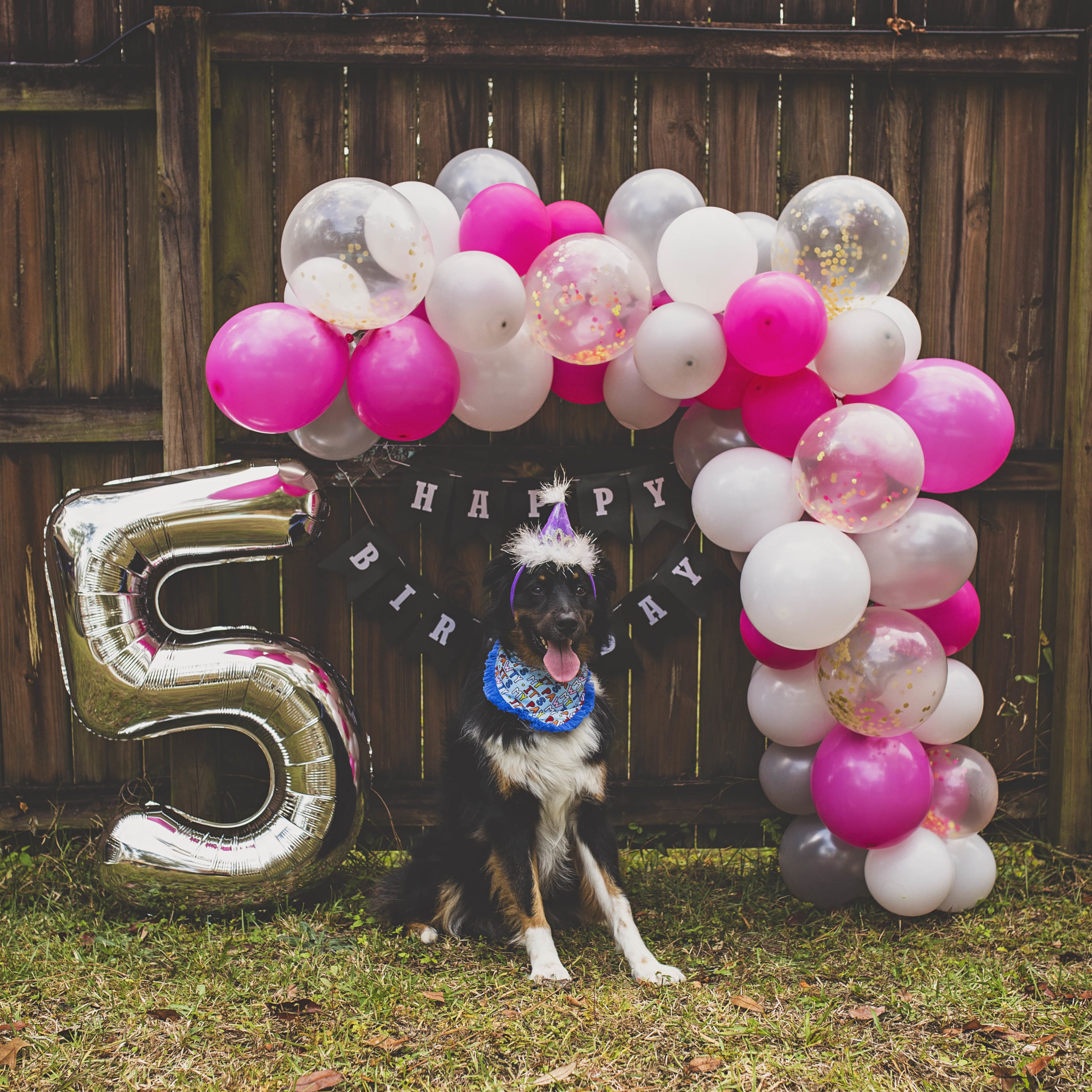 Lily Turns 5! | Celebratory Photoshoot - jessicashawphotography.com