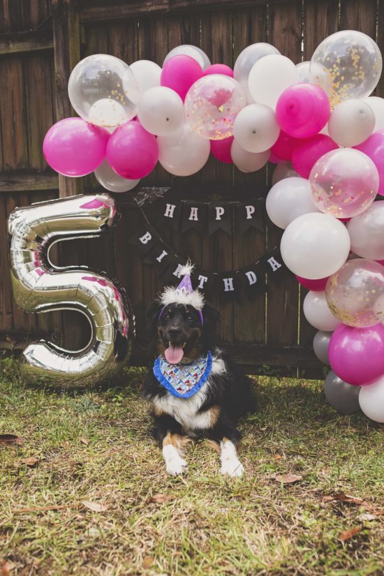 Lily Turns 5! | Celebratory Photoshoot - jessicashawphotography.com